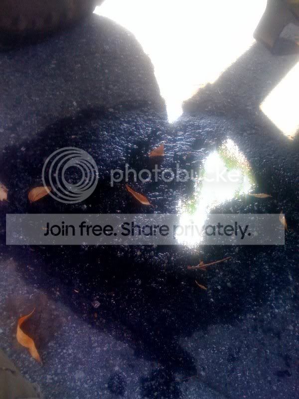 Coolant Leak Ford Powerstroke Diesel Forum